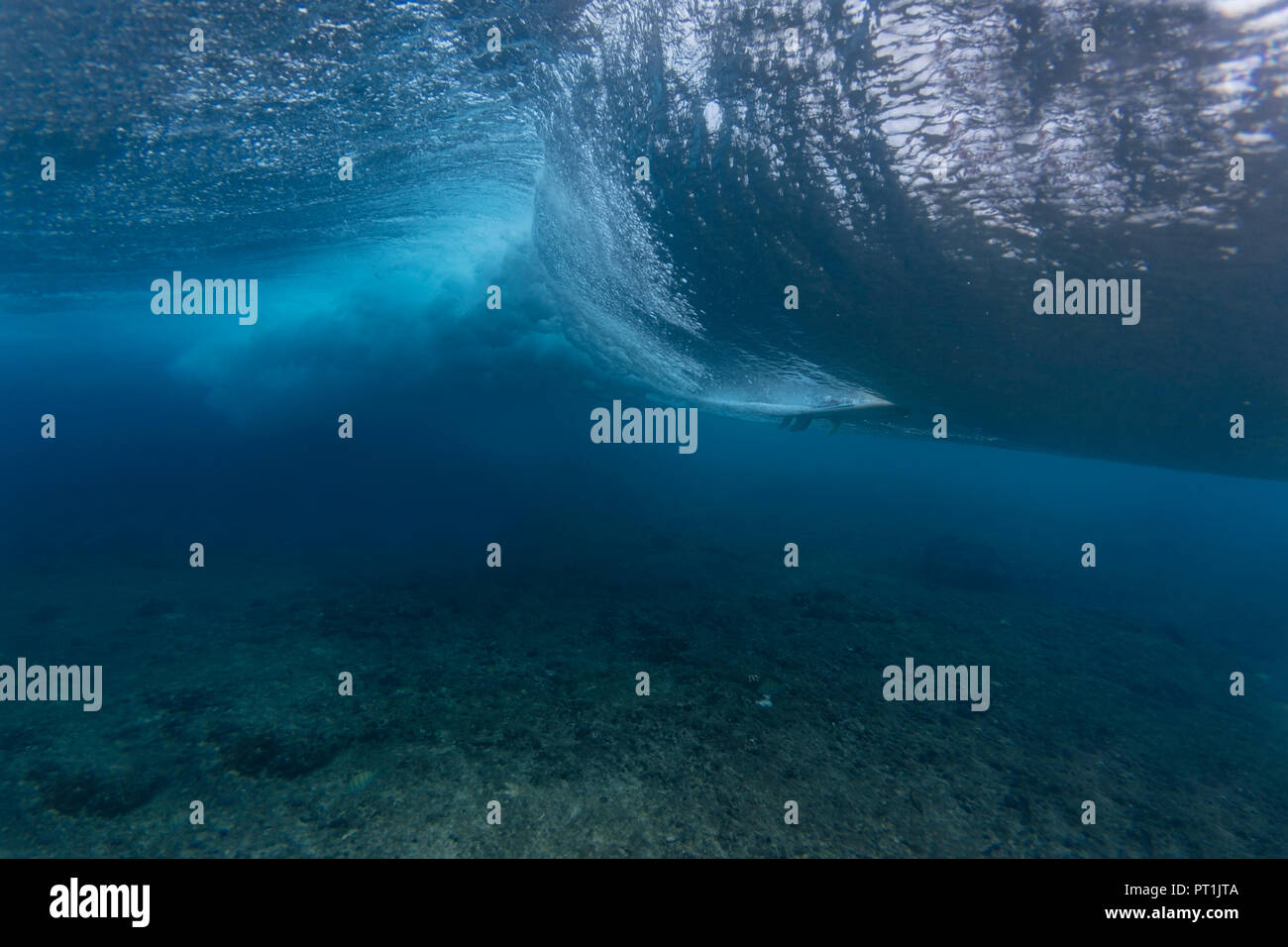 Maledives, Ocean, underwater shot, wave Stock Photo - Alamy