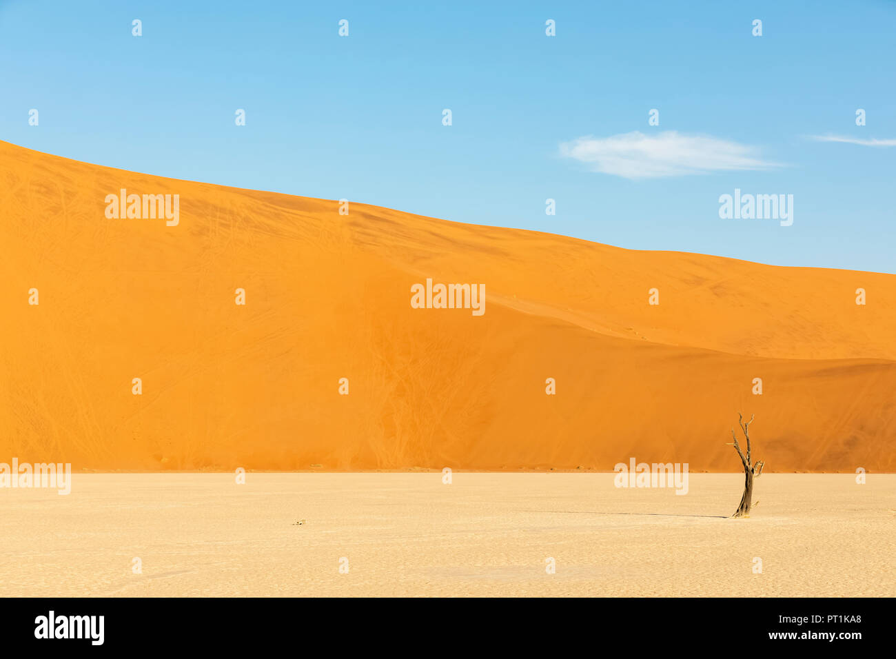 Salt flats namibia hi-res stock photography and images - Alamy