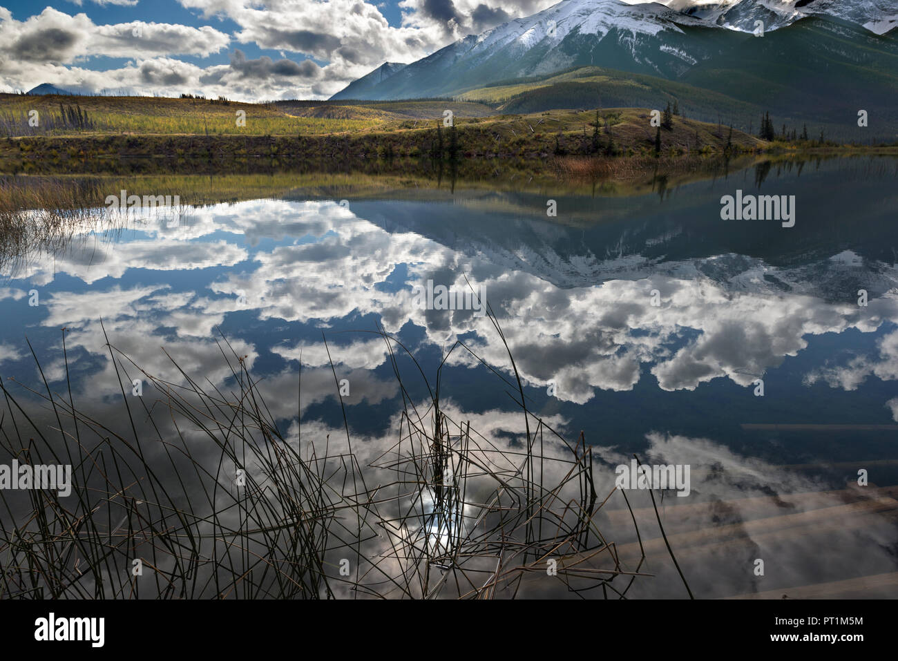 Talbot lake alberta canada hi-res stock photography and images - Alamy