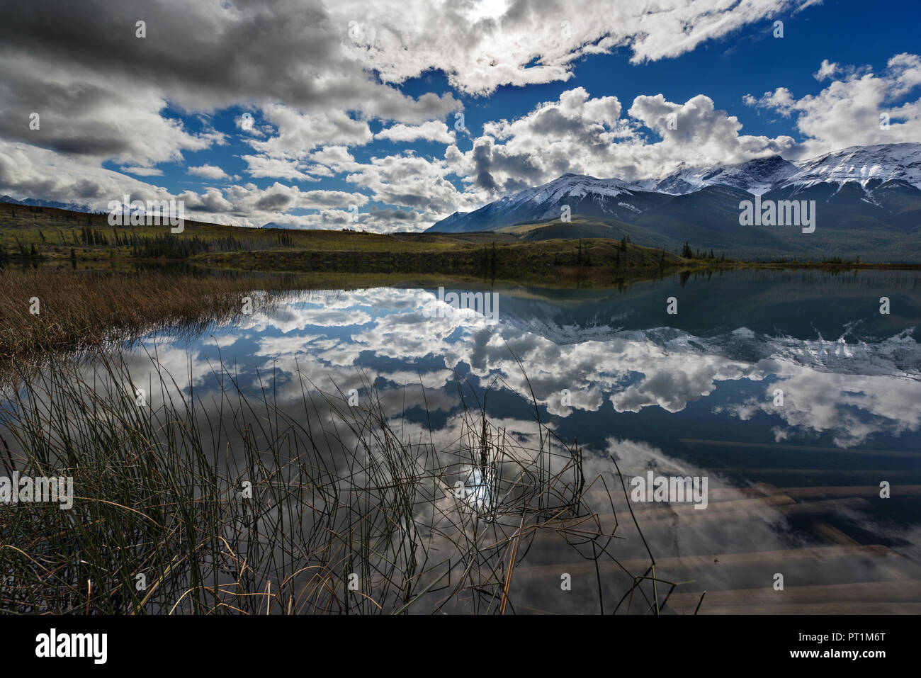Talbot lake jasper hi-res stock photography and images - Alamy
