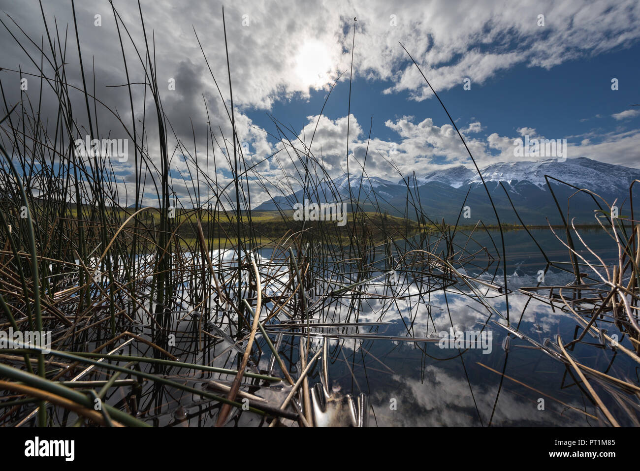 Talbot lake jasper hi-res stock photography and images - Alamy