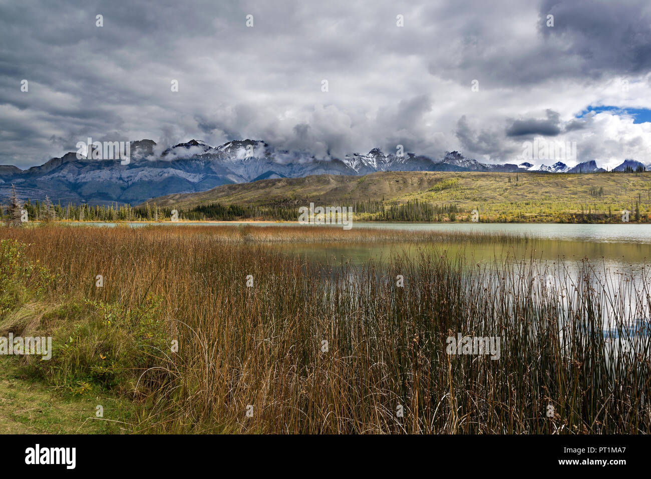 Talbot lake alberta canada hi-res stock photography and images - Alamy