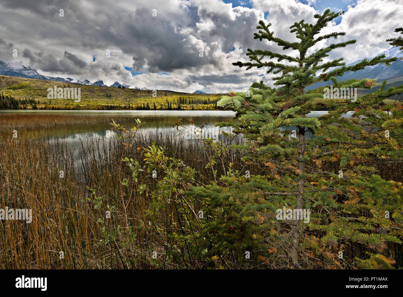 Talbot and jasper lakes hi-res stock photography and images - Alamy
