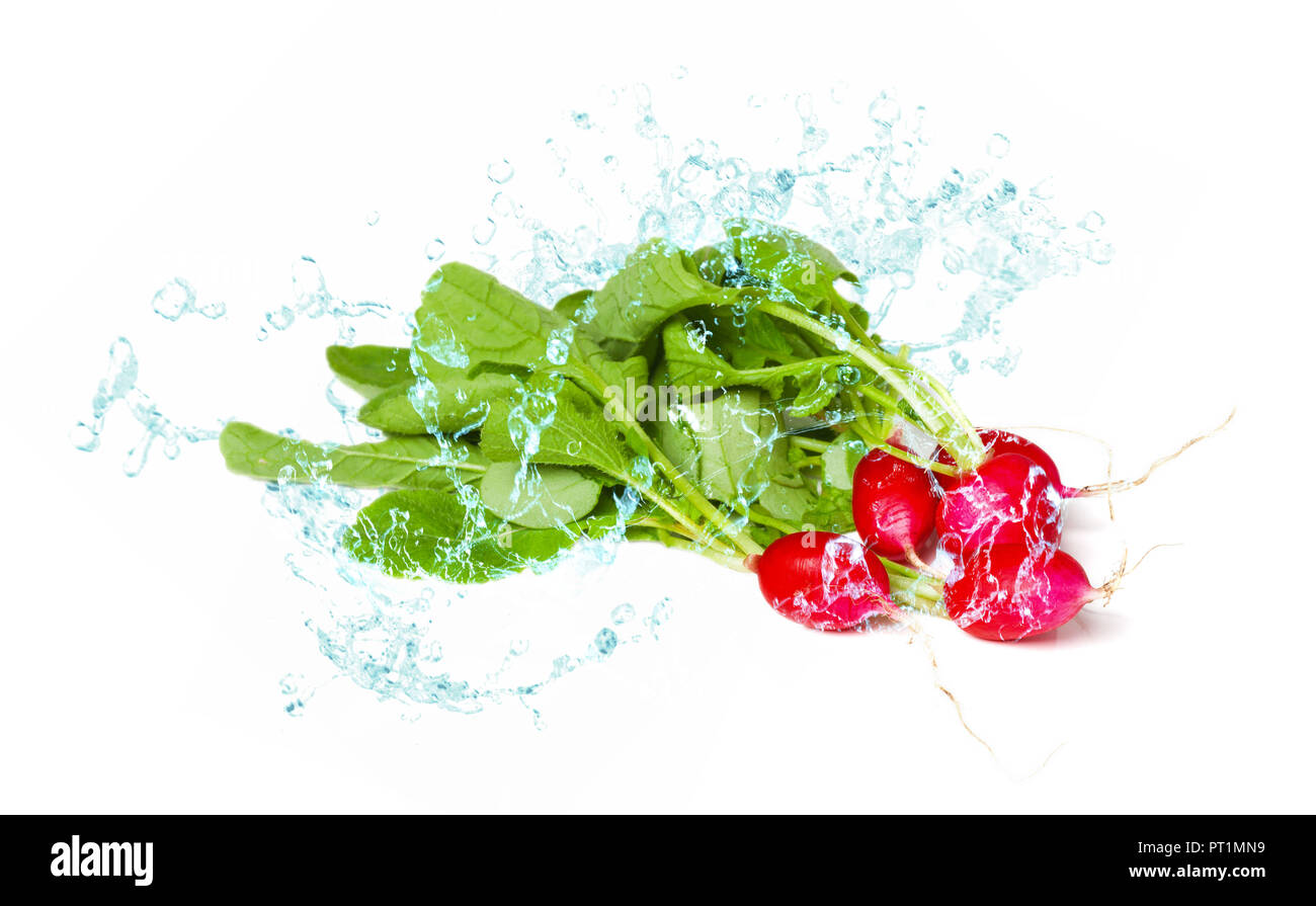 Washing radish hi-res stock photography and images - Alamy