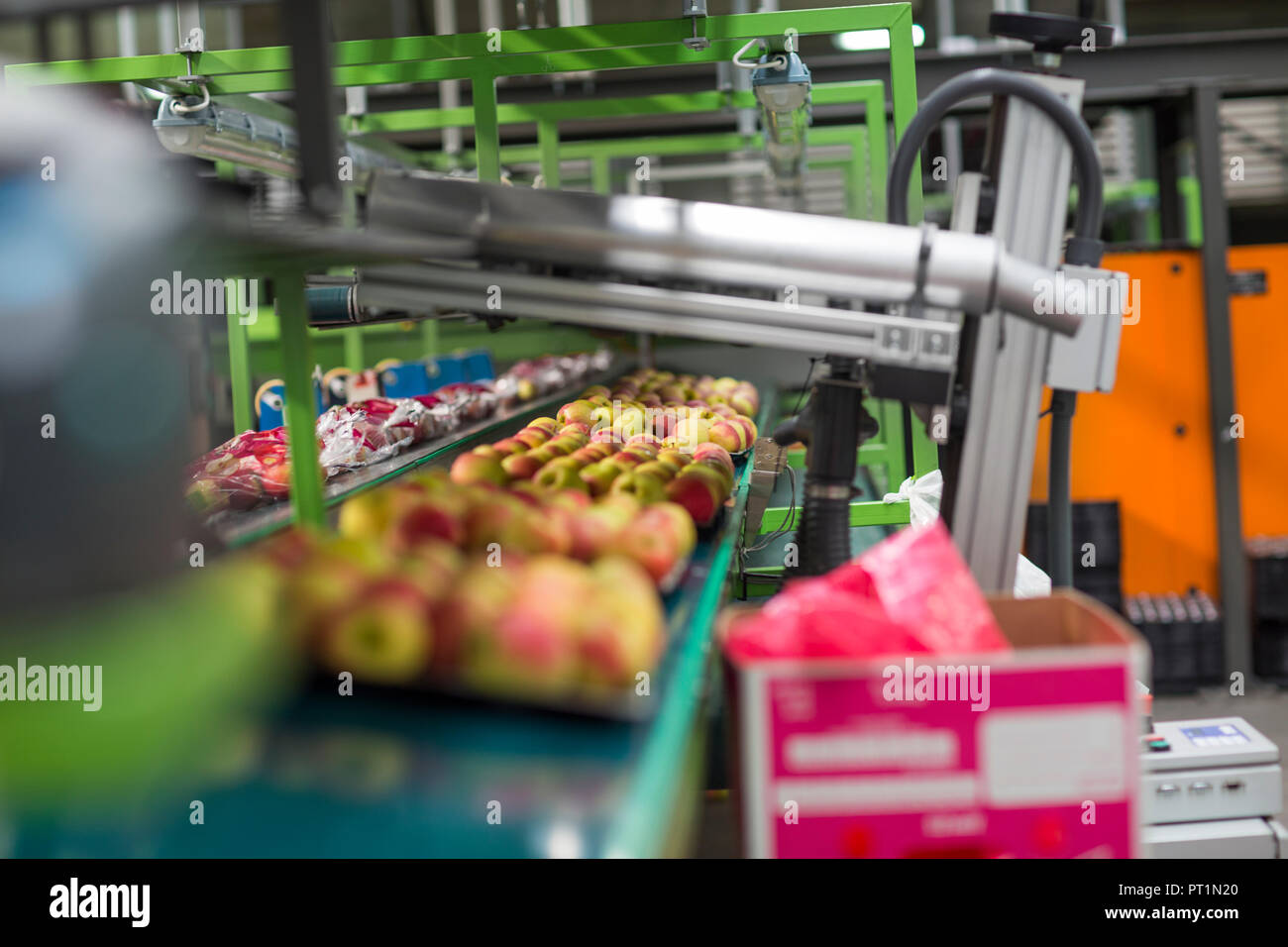 Packed with plants hi-res stock photography and images - Alamy