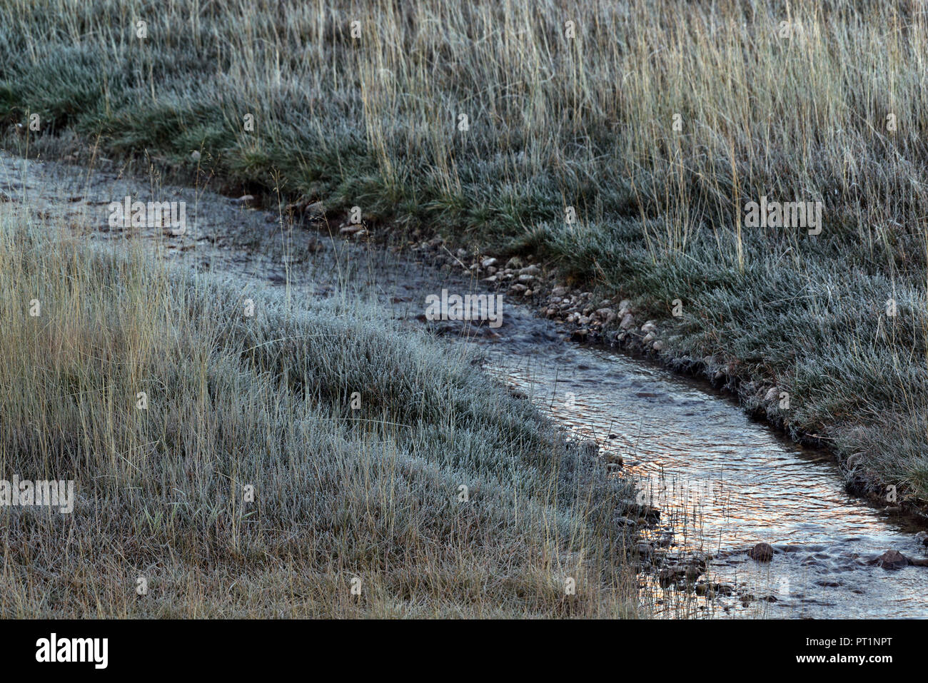 Waterscape canada hi-res stock photography and images - Alamy