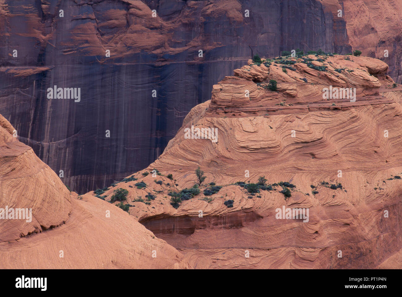 Red sandstone cliffs of Canyon de Chelly, Arizona, Navajo Nation ...