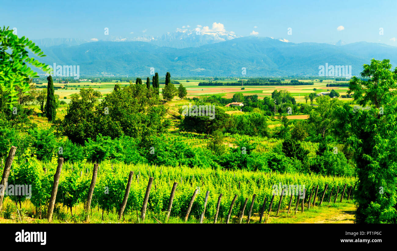 Buttrio hi-res stock photography and images - Alamy