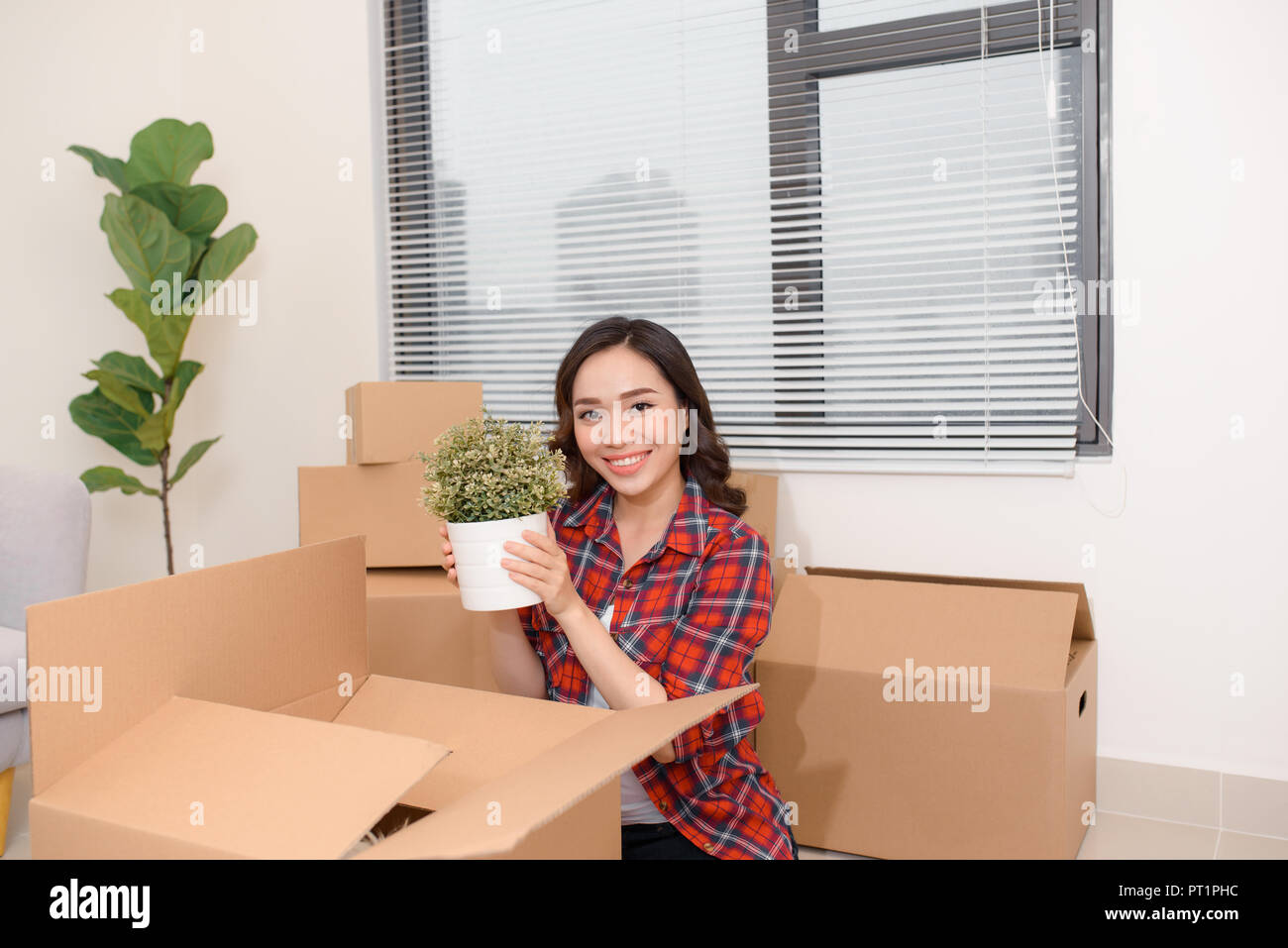 Carton boxes hi-res stock photography and images - Alamy