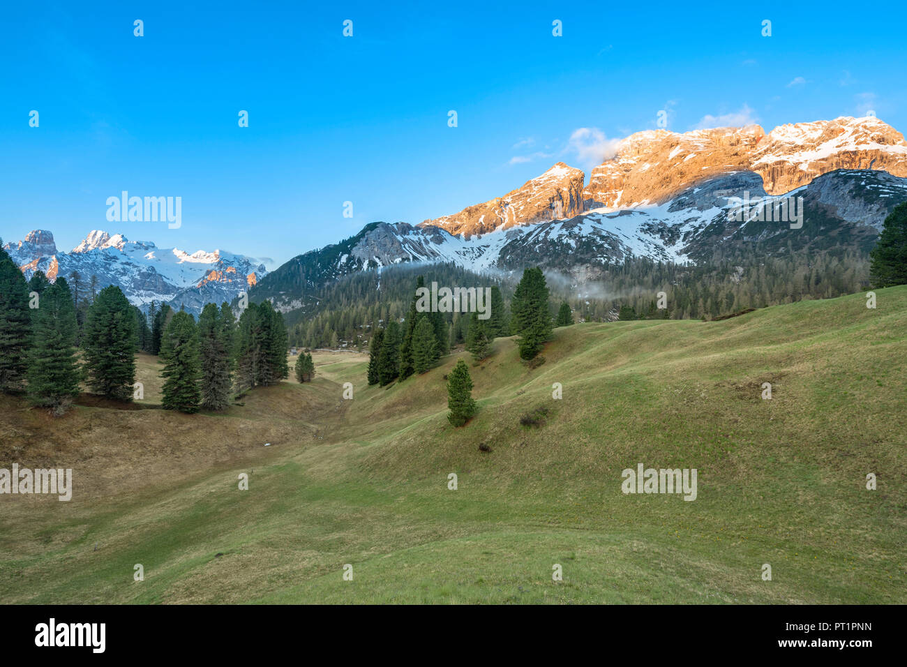 Prato Piazza / Plätzwiese, Dolomites, South Tyrol, Italy, The Cristallo ...