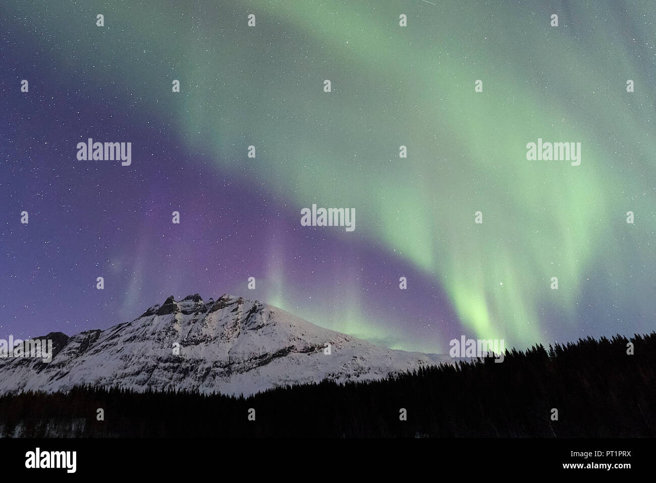 Northern Lights, Skoddebergvatnet, Grovfjord, Troms county, Lofoten ...
