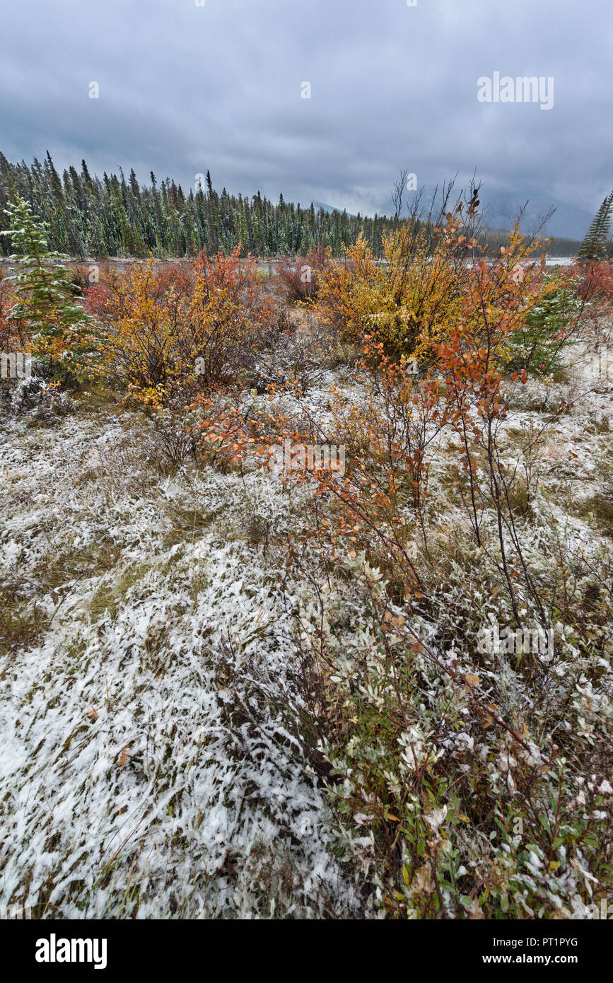 Tundra landscape canada hi-res stock photography and images - Alamy