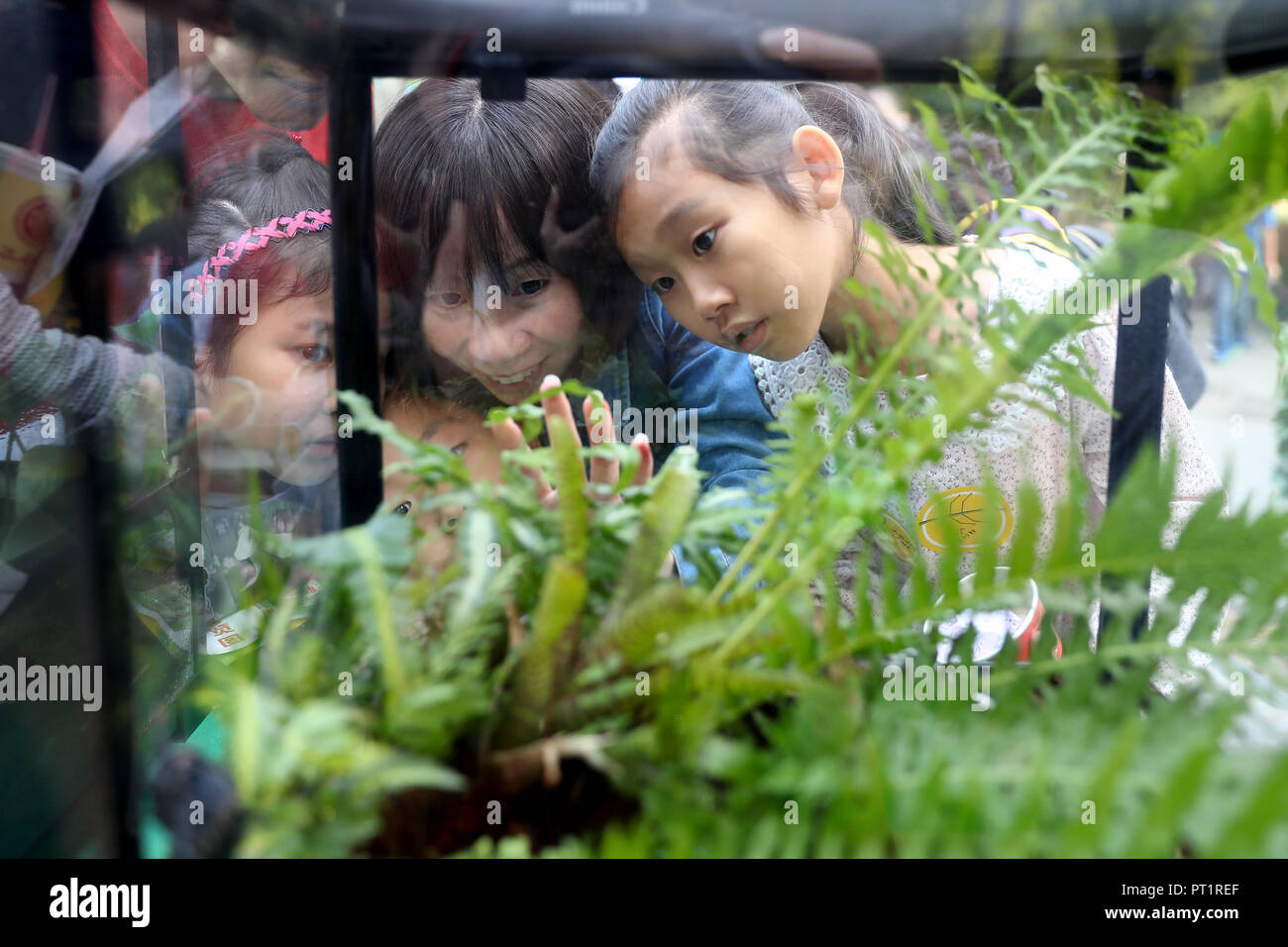 (181005) -- BEIJING, Oct. 5, 2018 (Xinhua) -- Visitors view insects at ...
