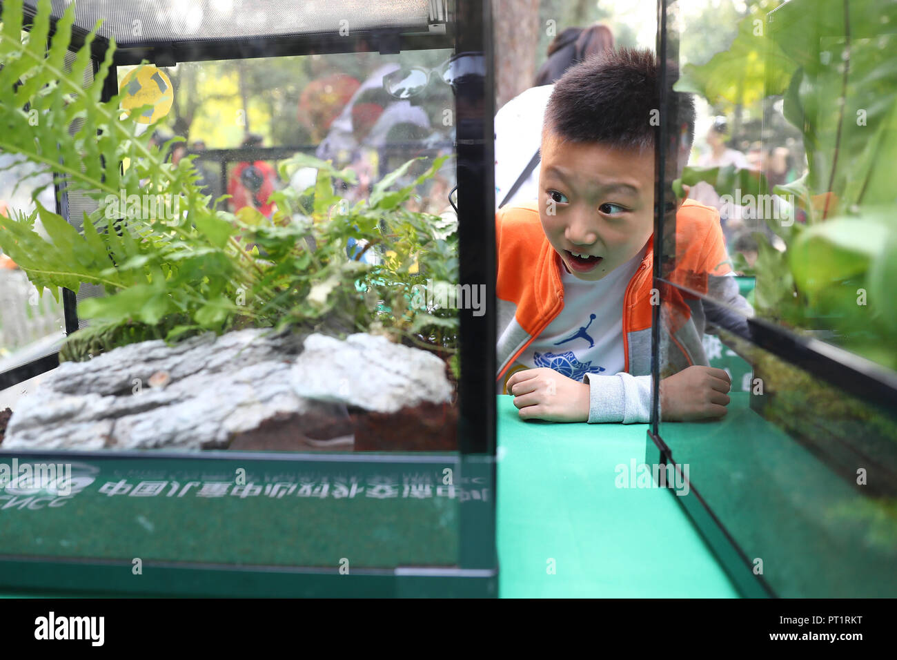 Beijing, China. 5th Oct, 2018. A boy views insects at the first ...