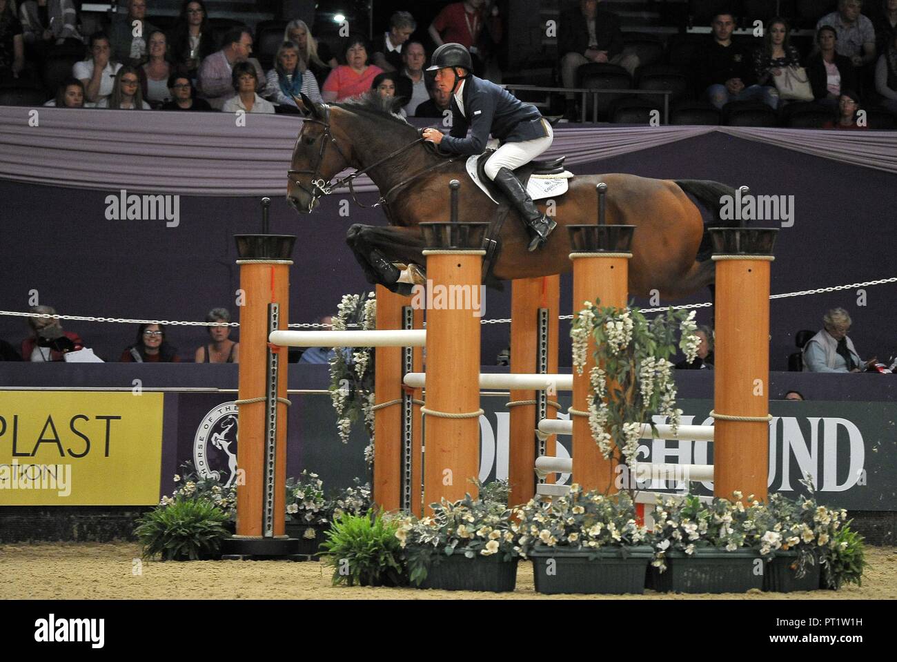 Joker horse hi-res stock photography and images - Alamy