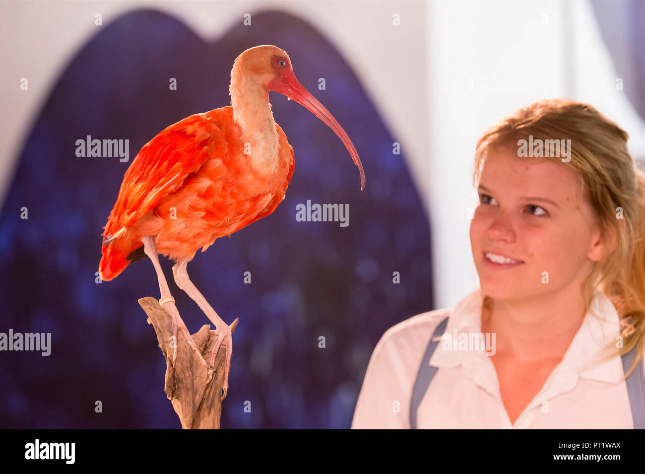 London kaye art hi-res stock photography and images - Alamy