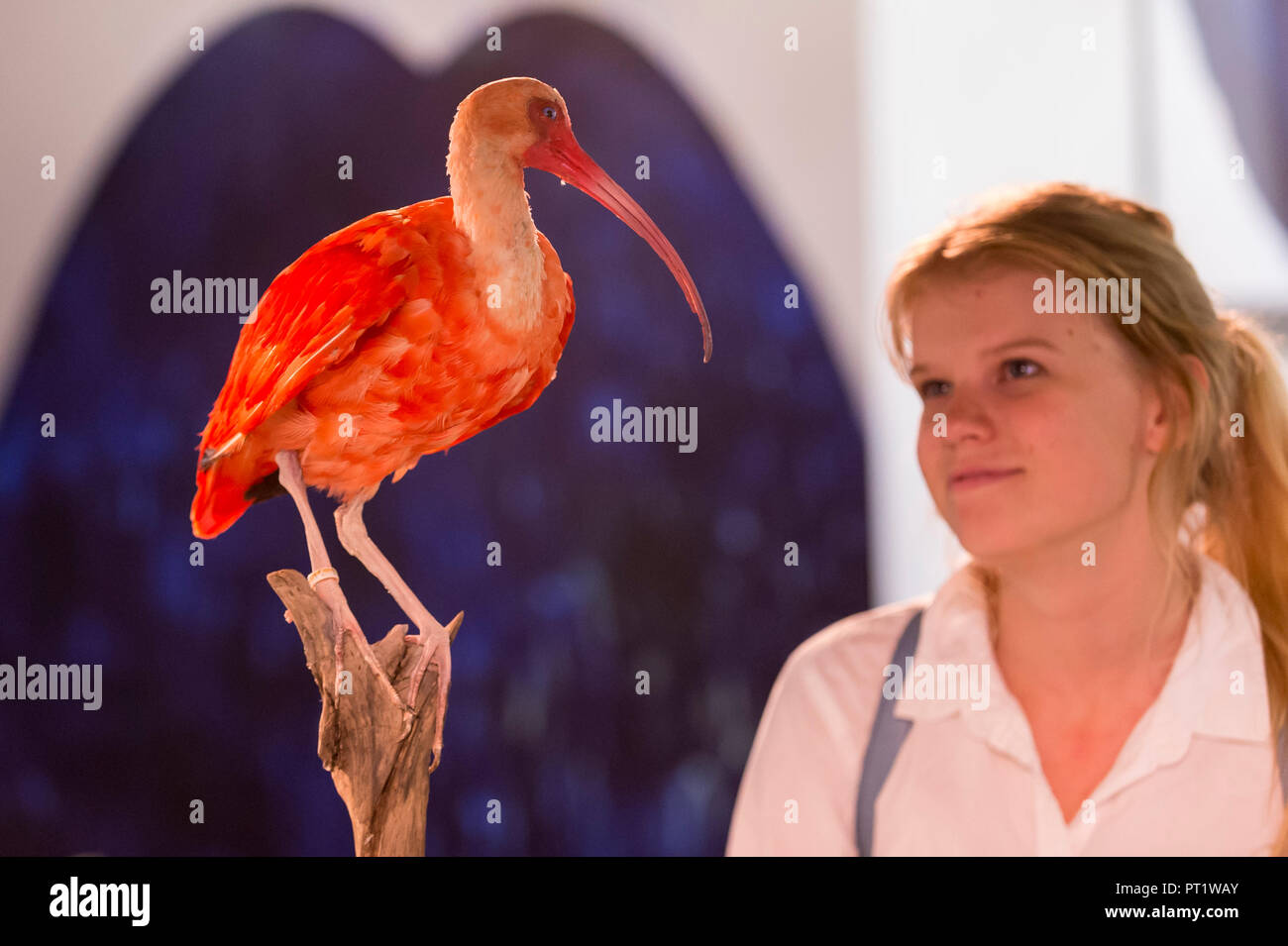 London kaye art hi-res stock photography and images - Alamy