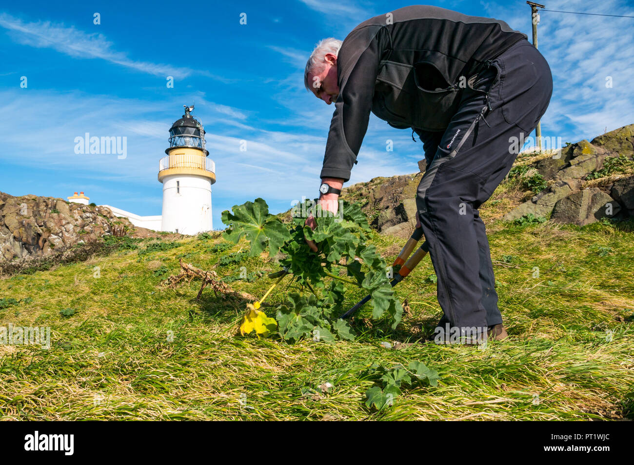 Fidra Island, Firth of Forth, Scotland, United Kingdom, 5th October ...
