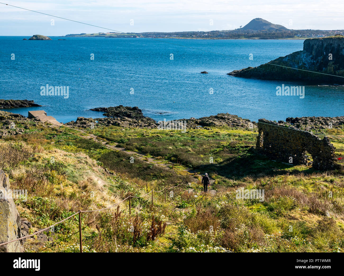 Fidra puffin hi-res stock photography and images - Alamy