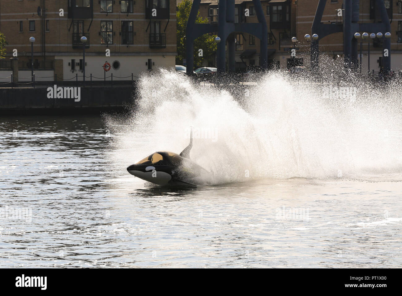 Whale jet ski hi-res stock photography and images - Alamy