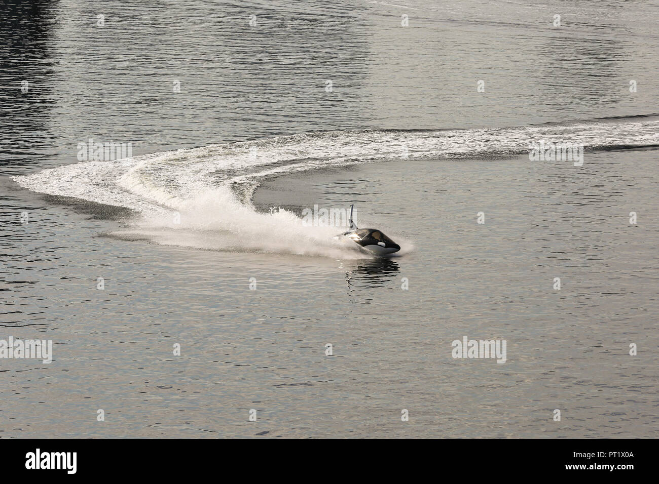 Whale shaped submarine hi-res stock photography and images - Alamy