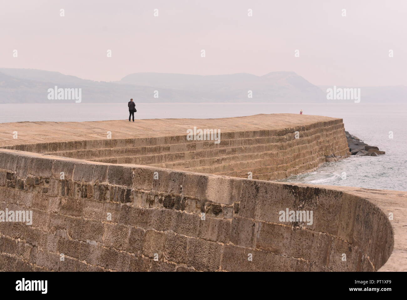 Photographer on the curved sea wall in autumn mist on the coast at Lyme ...