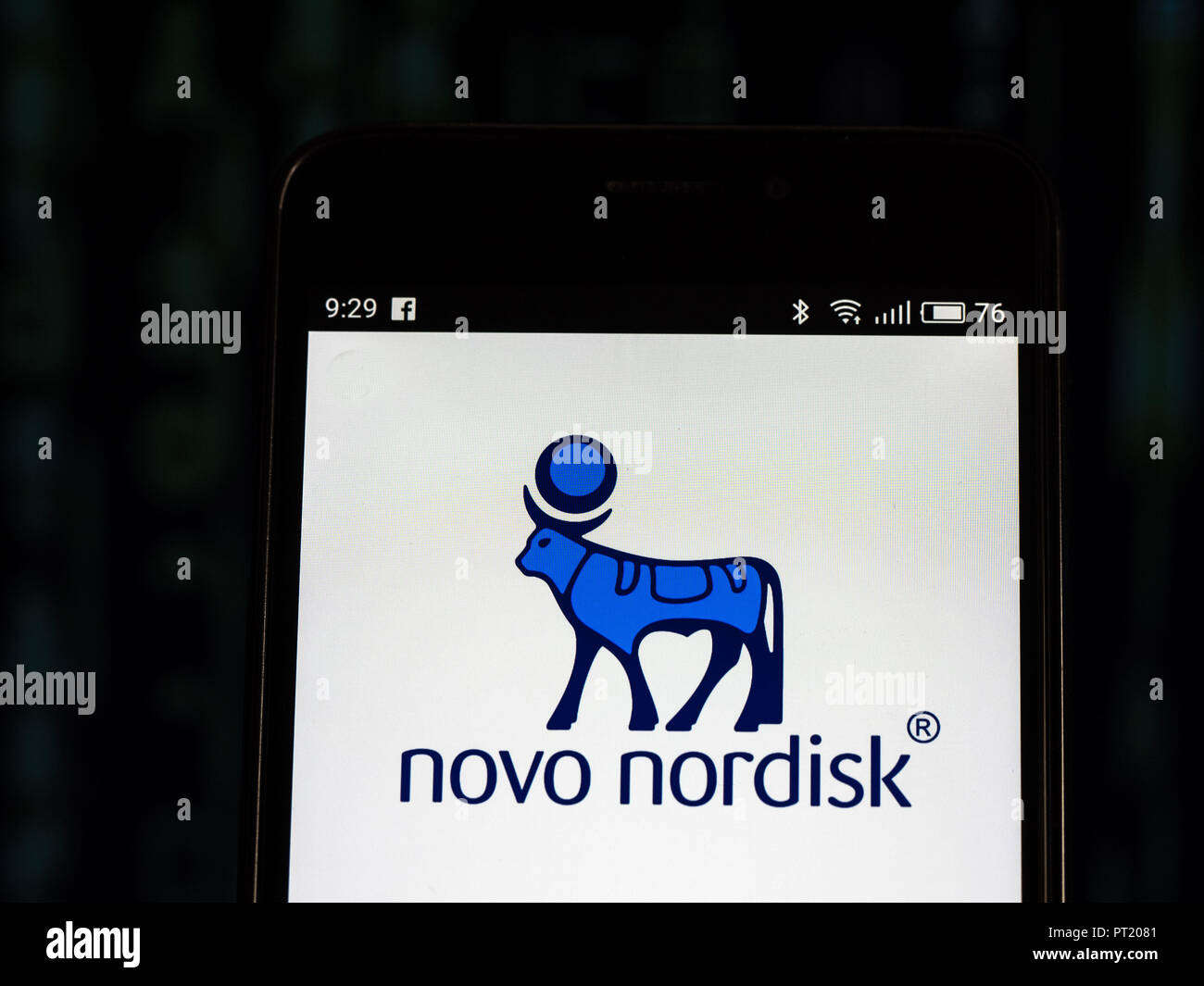 Nordisk Logo