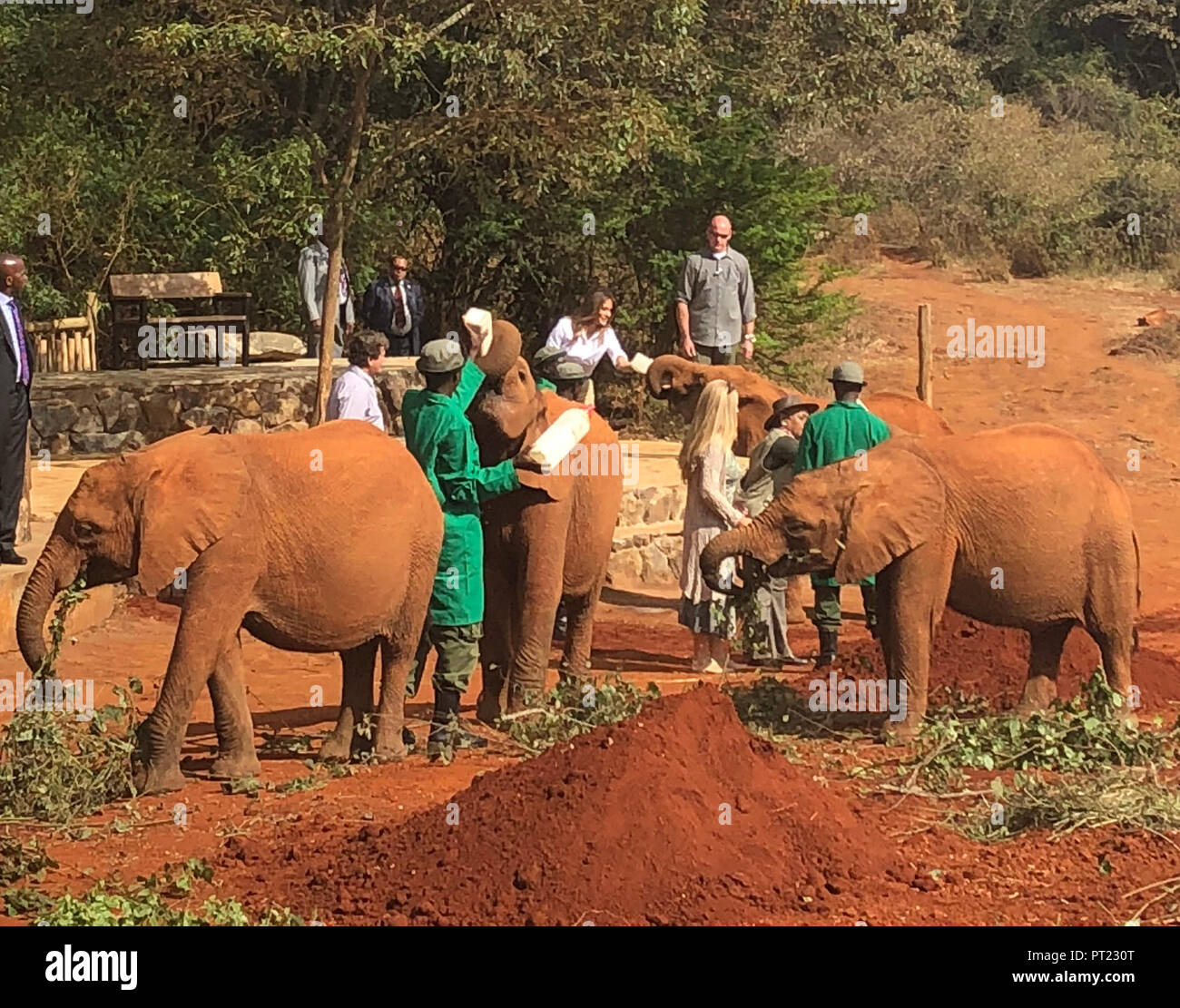 Kenya. 5th October 2018. Some background on the David Sheldrick ...