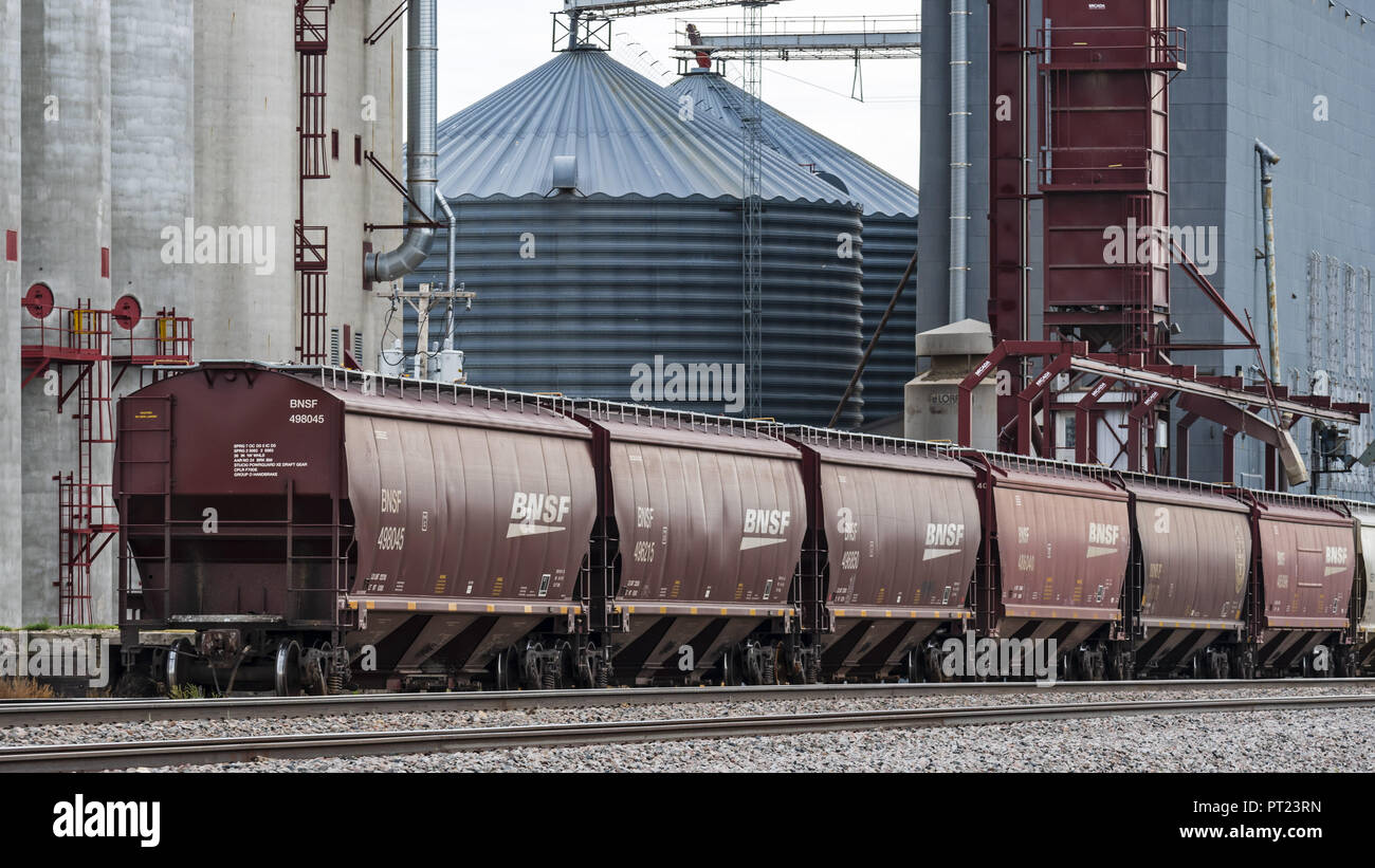 Ray, North Dakota, USA. 8th Sep, 2018. BNSF Railway hopper railcars on ...