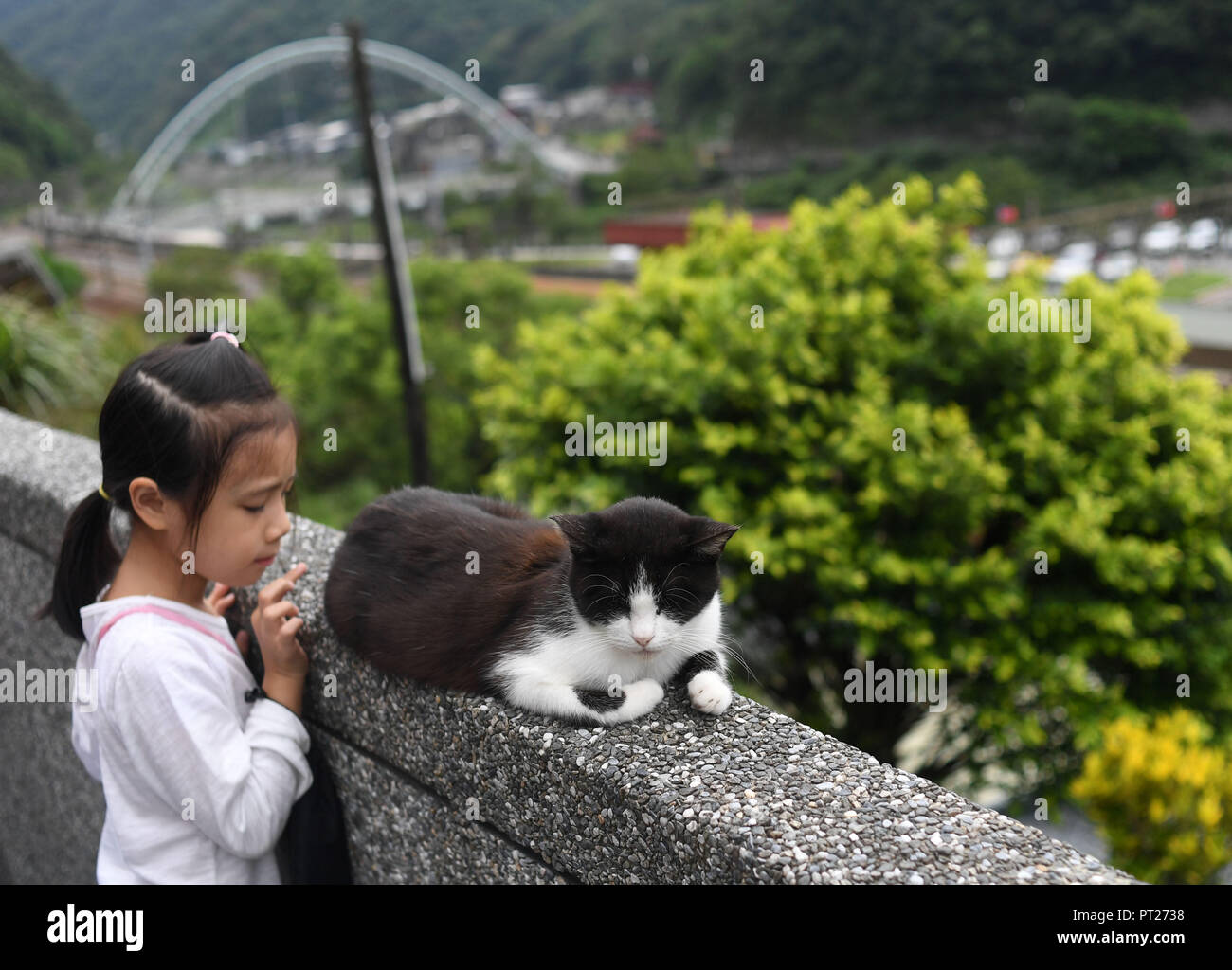 Cats production hi-res stock photography and images - Alamy