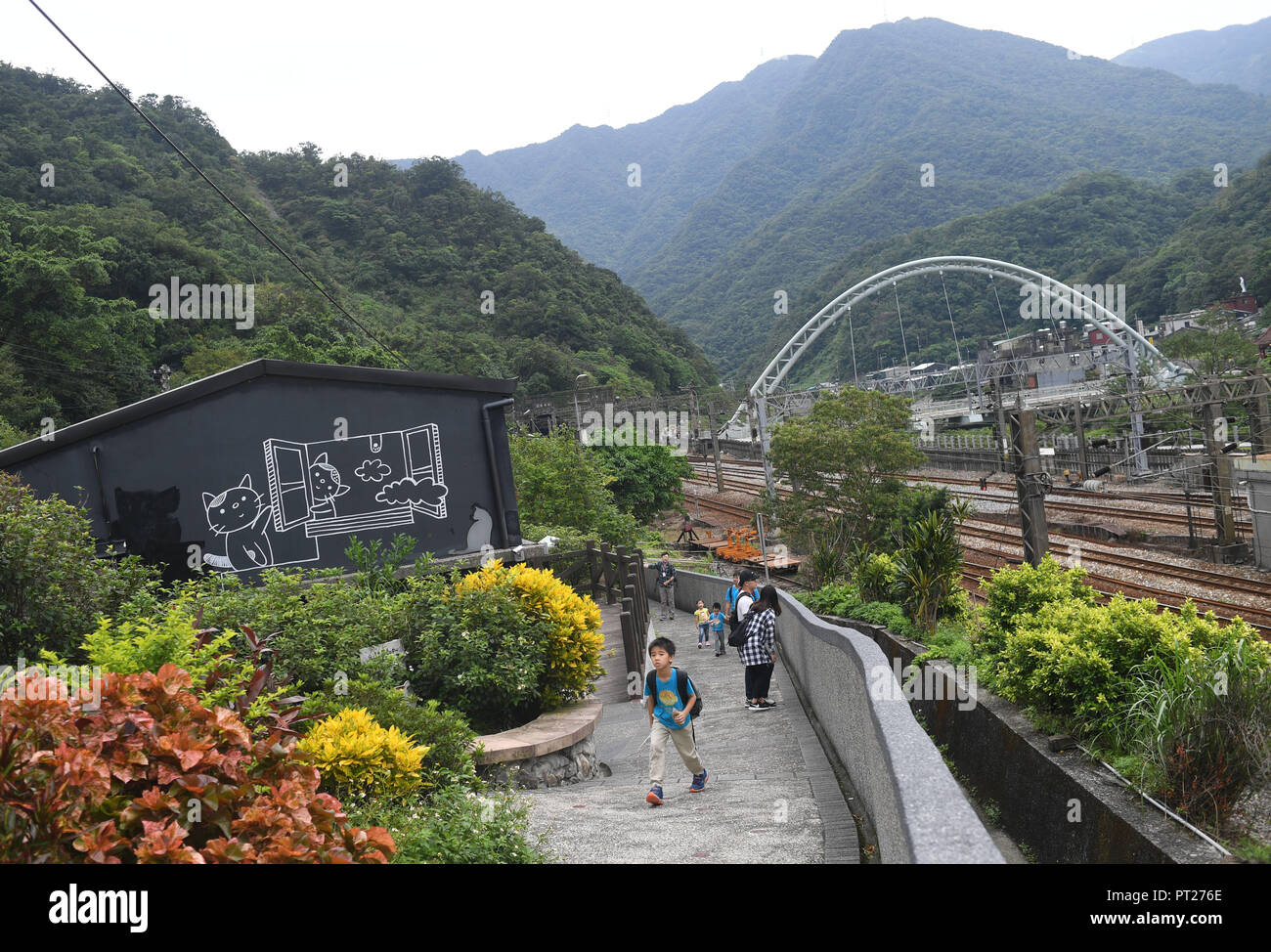 Cats production hi-res stock photography and images - Alamy