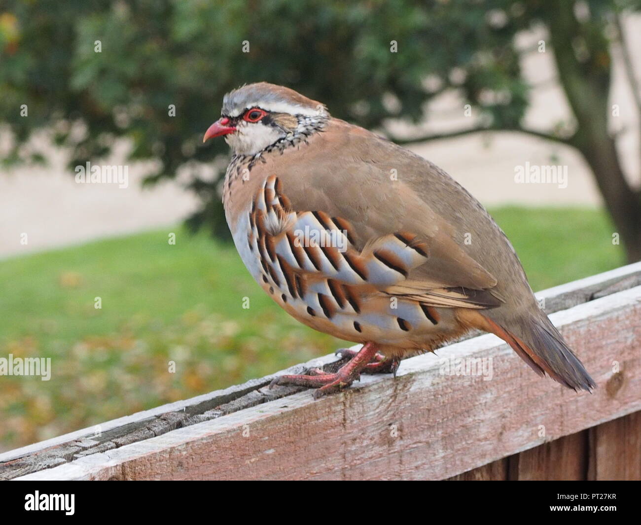 James Partridge High Resolution Stock Photography and Images - Alamy