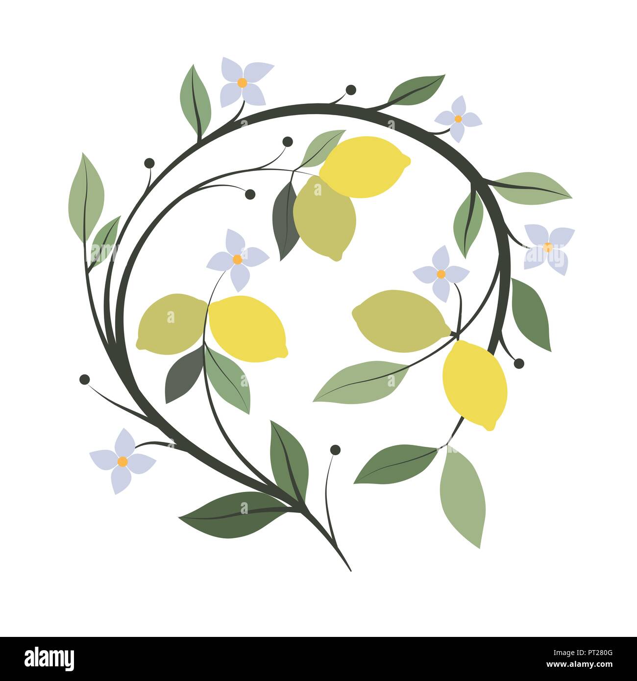 Lemon Tree Vector