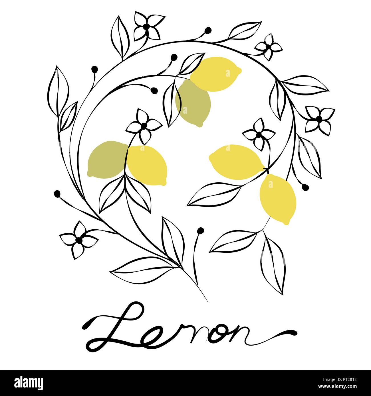 Lemon Flower Vector