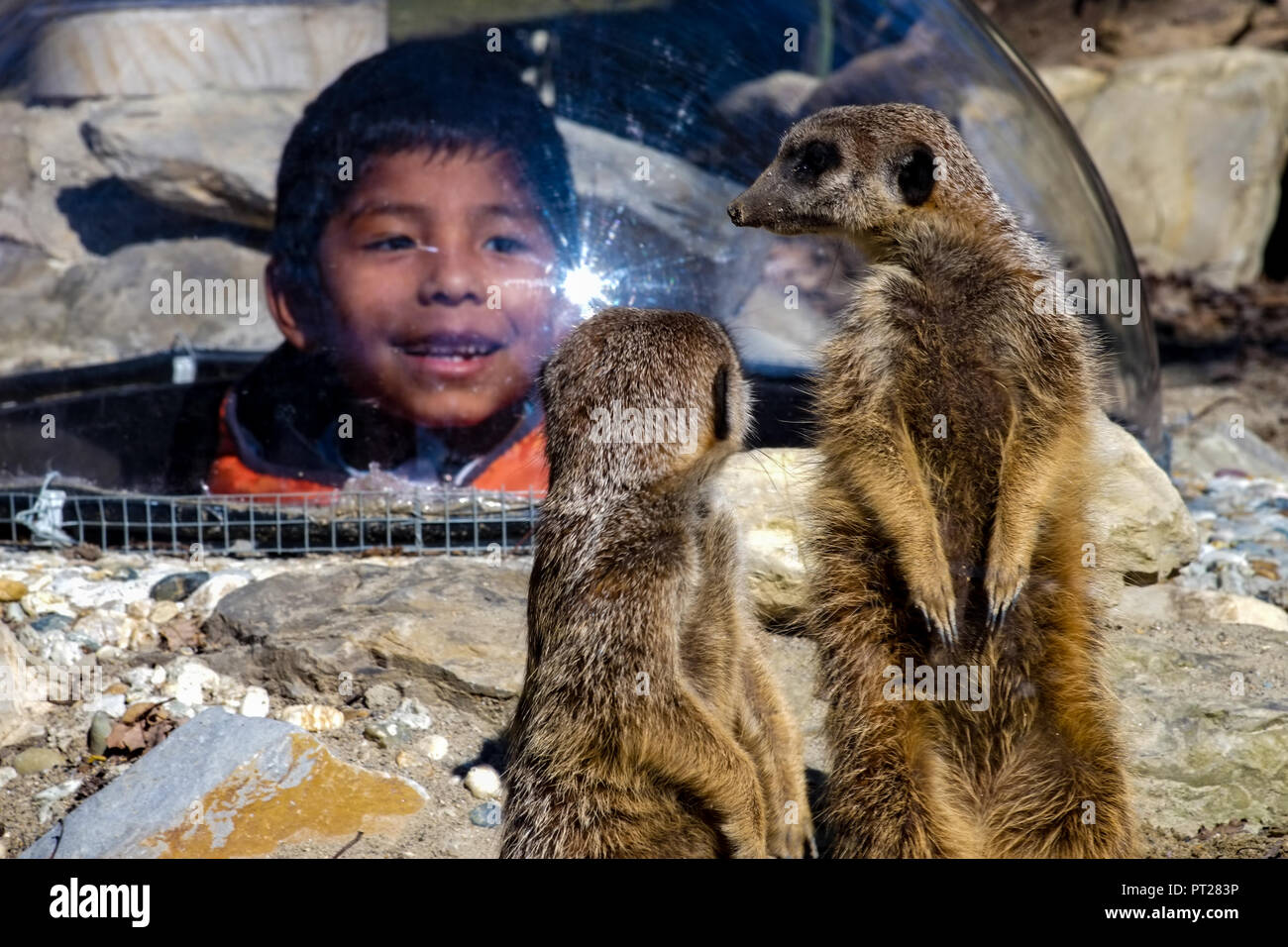 Happiness latin hi-res stock photography and images - Alamy