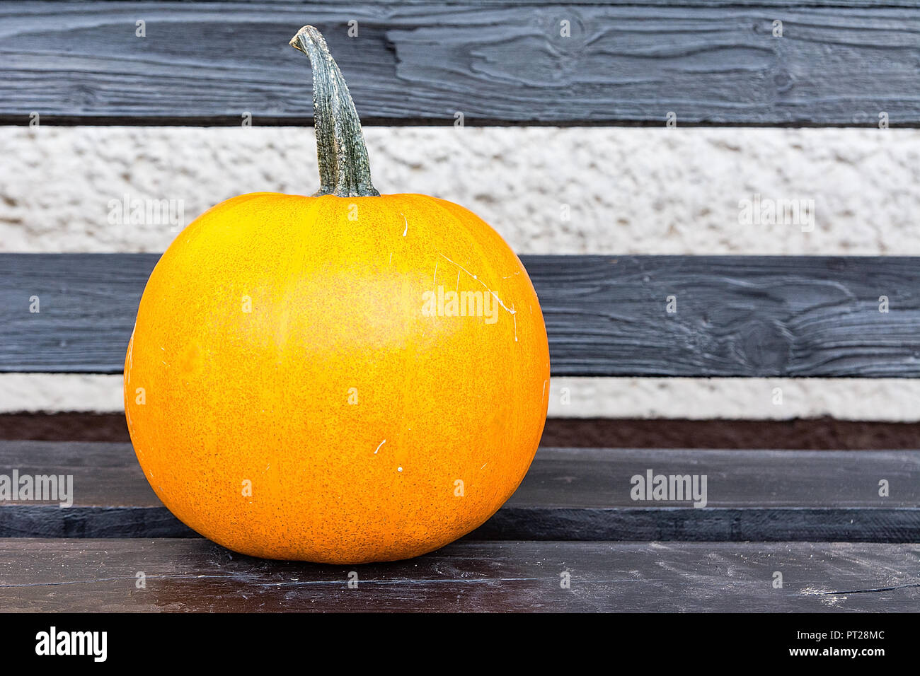 Pumpkin on the wooden bench Stock Photo - Alamy