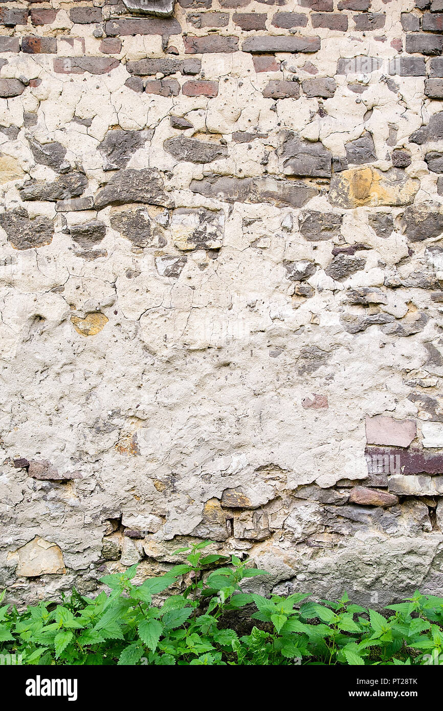 Old wall background Stock Photo - Alamy