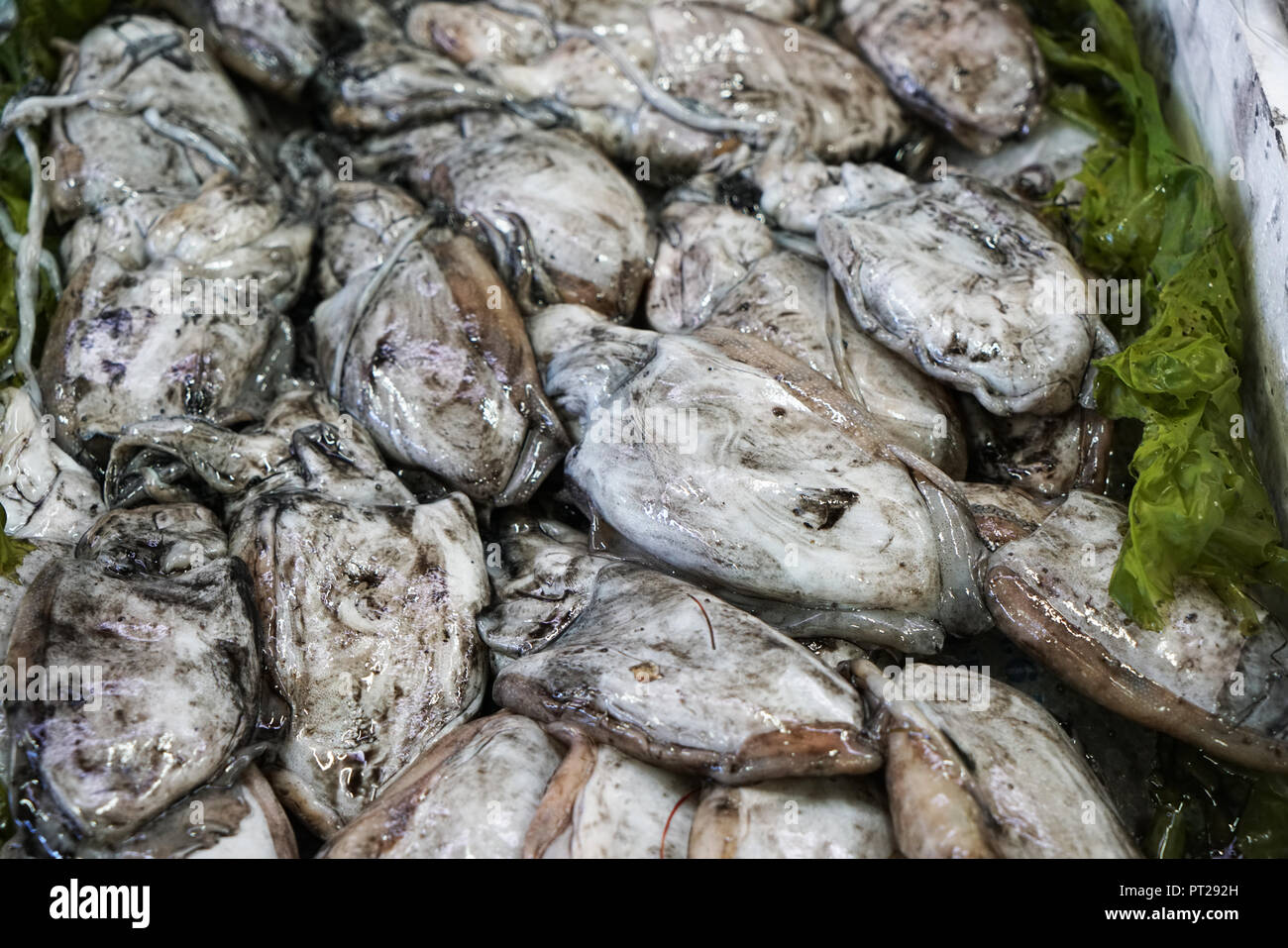 Fresh fish photographed on a fish market in Portugal Stock Photo - Alamy
