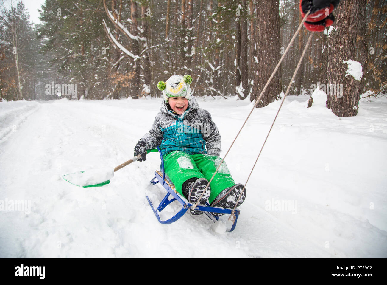 Adorable child boy riding a sled in winter snowtime Stock Photo - Alamy