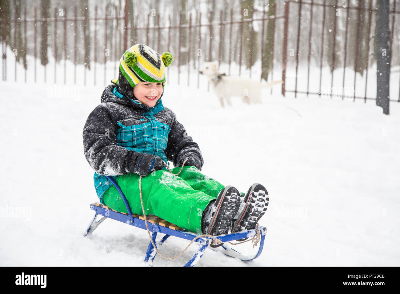 Adorable child boy riding a sled from a snow slide Stock Photo - Alamy