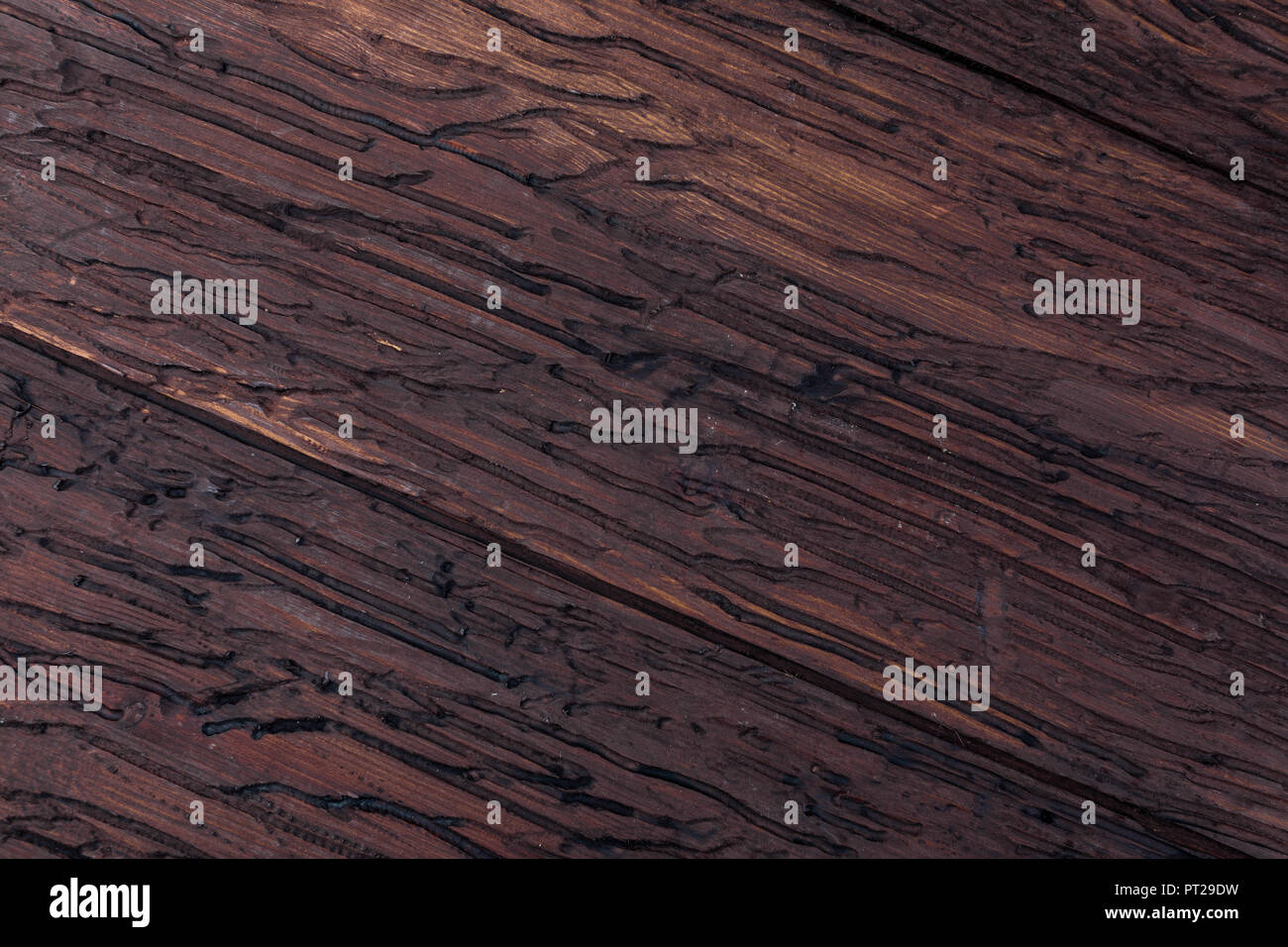 Precious wood texture. Of rustic aspect and dark, ocher, brown, toasted, black tones. The veins ...