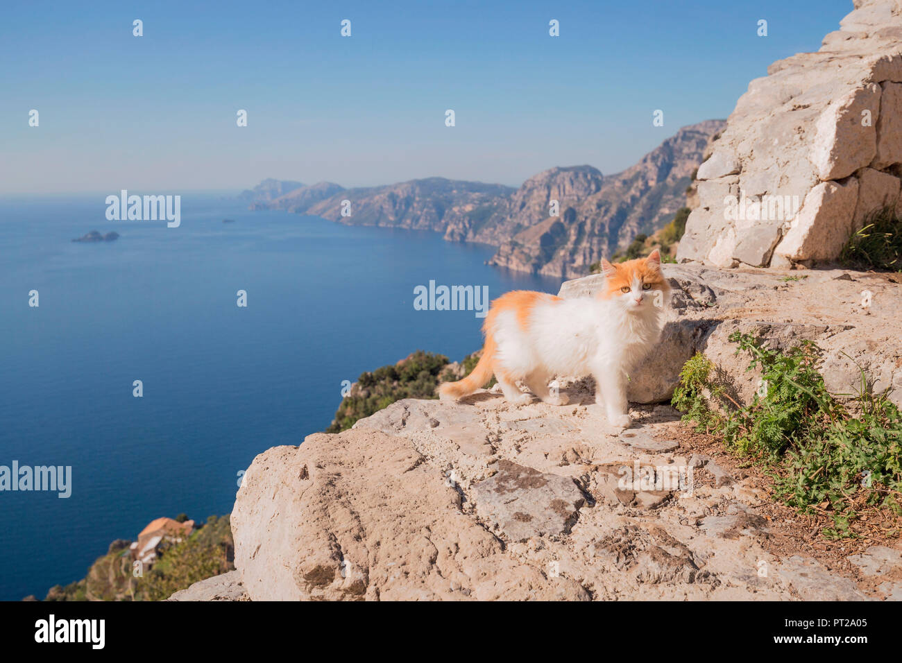 Bomerano path hi-res stock photography and images - Alamy