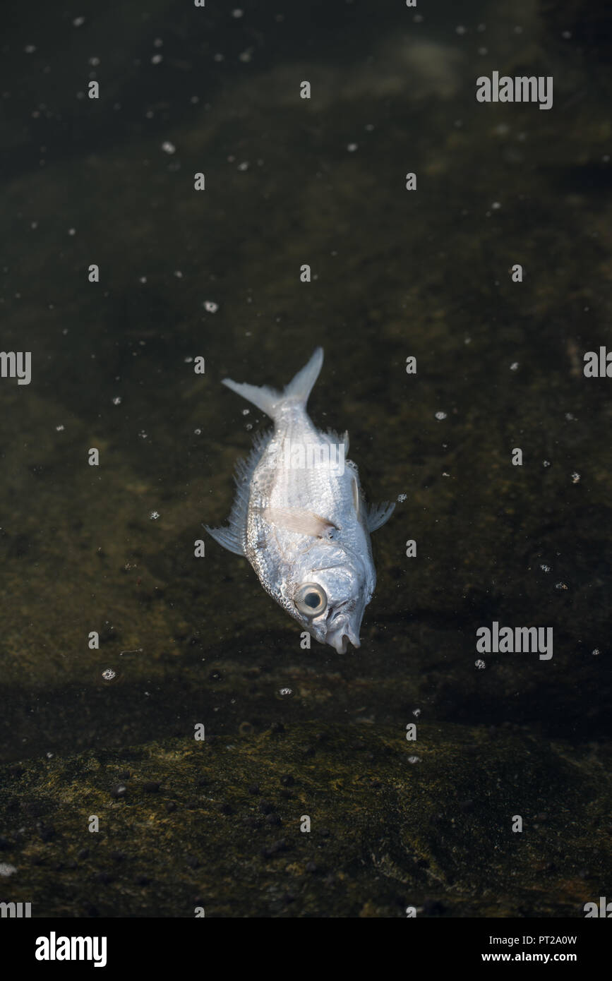 Bank of the ocean hi-res stock photography and images - Alamy