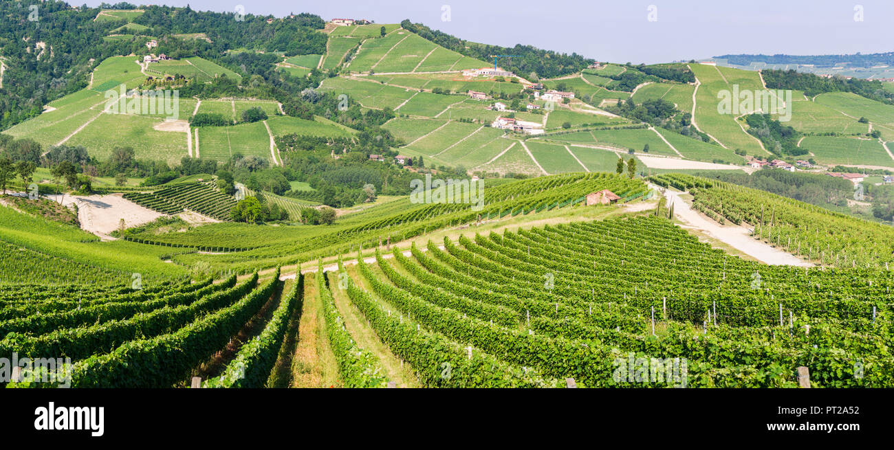 Barolo wine region, vineyards landscape, Langhe, Piedmont, Italy Stock ...