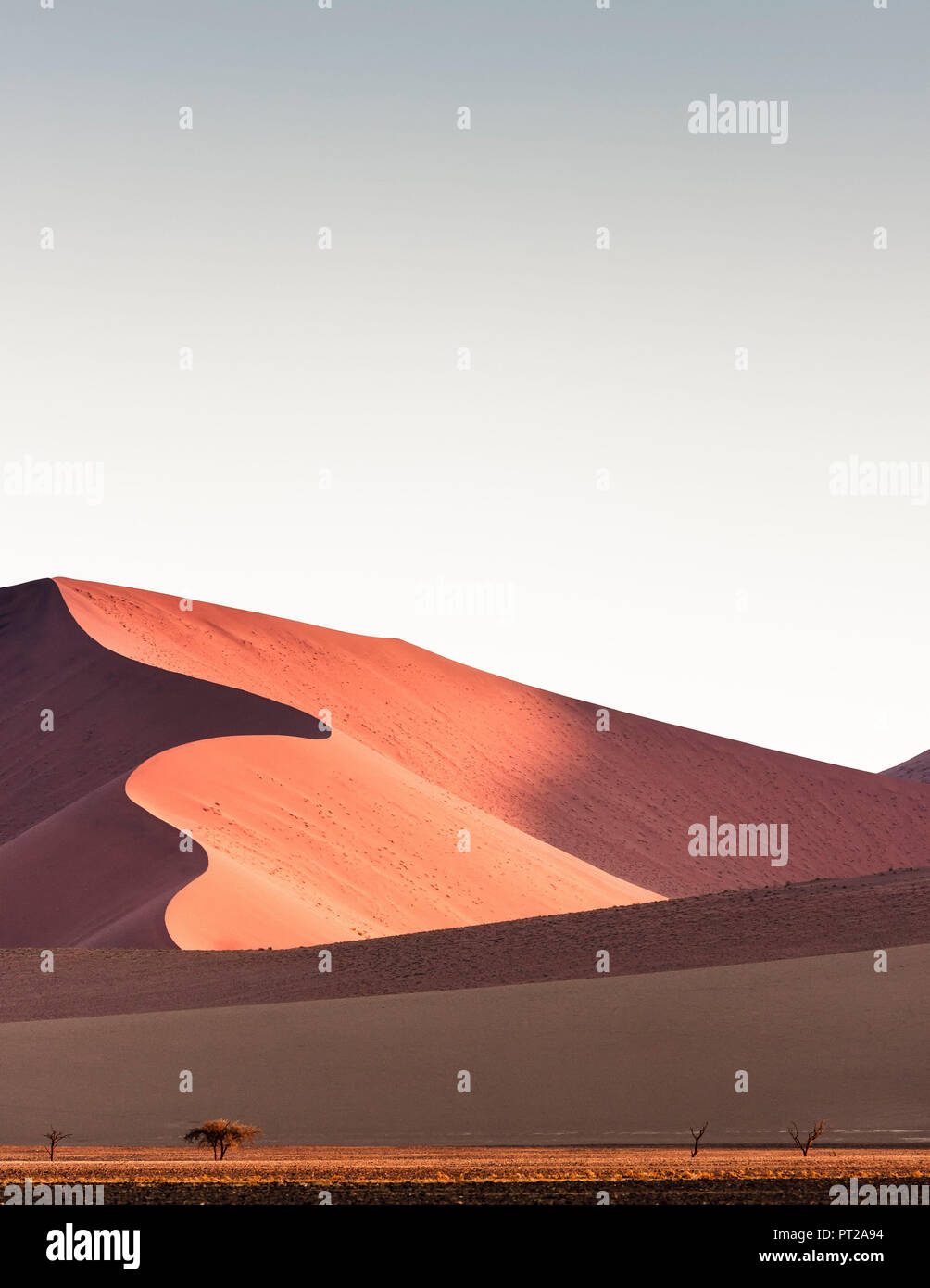 Namib desert dunes hi-res stock photography and images - Alamy