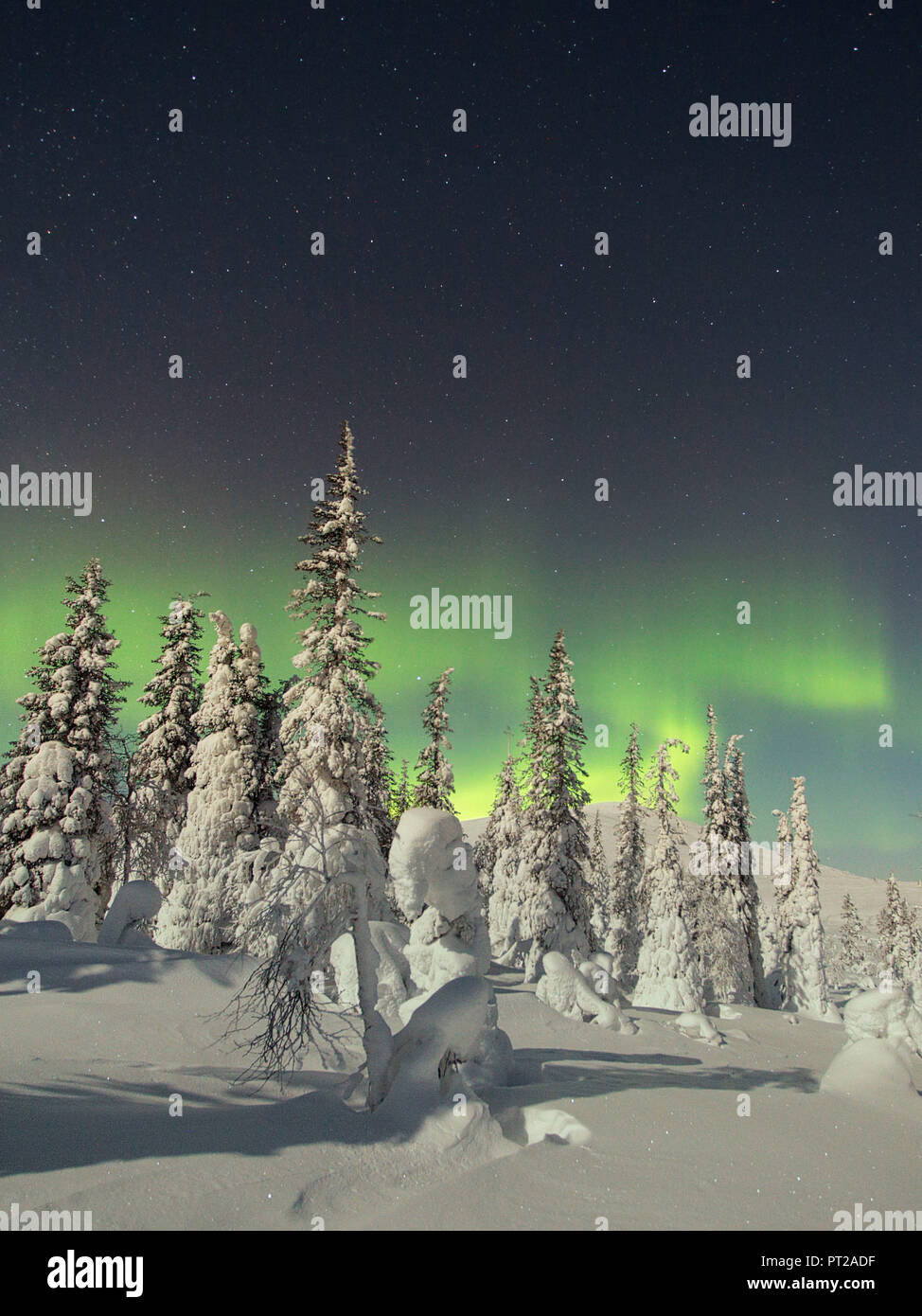 Aurora snow hi-res stock photography and images - Alamy