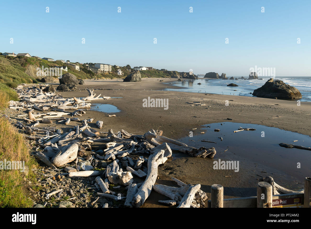 Pacific Coast, Oregon, Bandon, Driftwood Stock Photo - Alamy