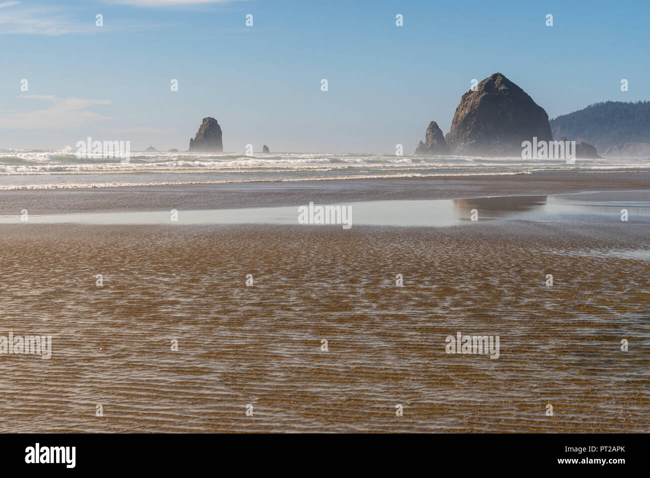 Pacific Coast, Cannon Beach, Rocks Stock Photo - Alamy