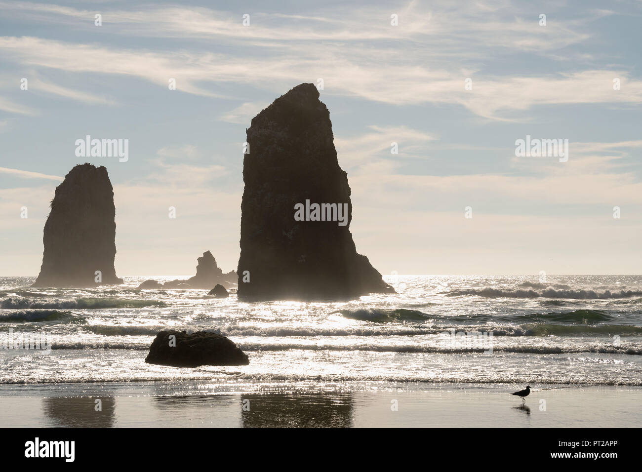 Pacific Coast, Cannon Beach, Rocks Stock Photo - Alamy