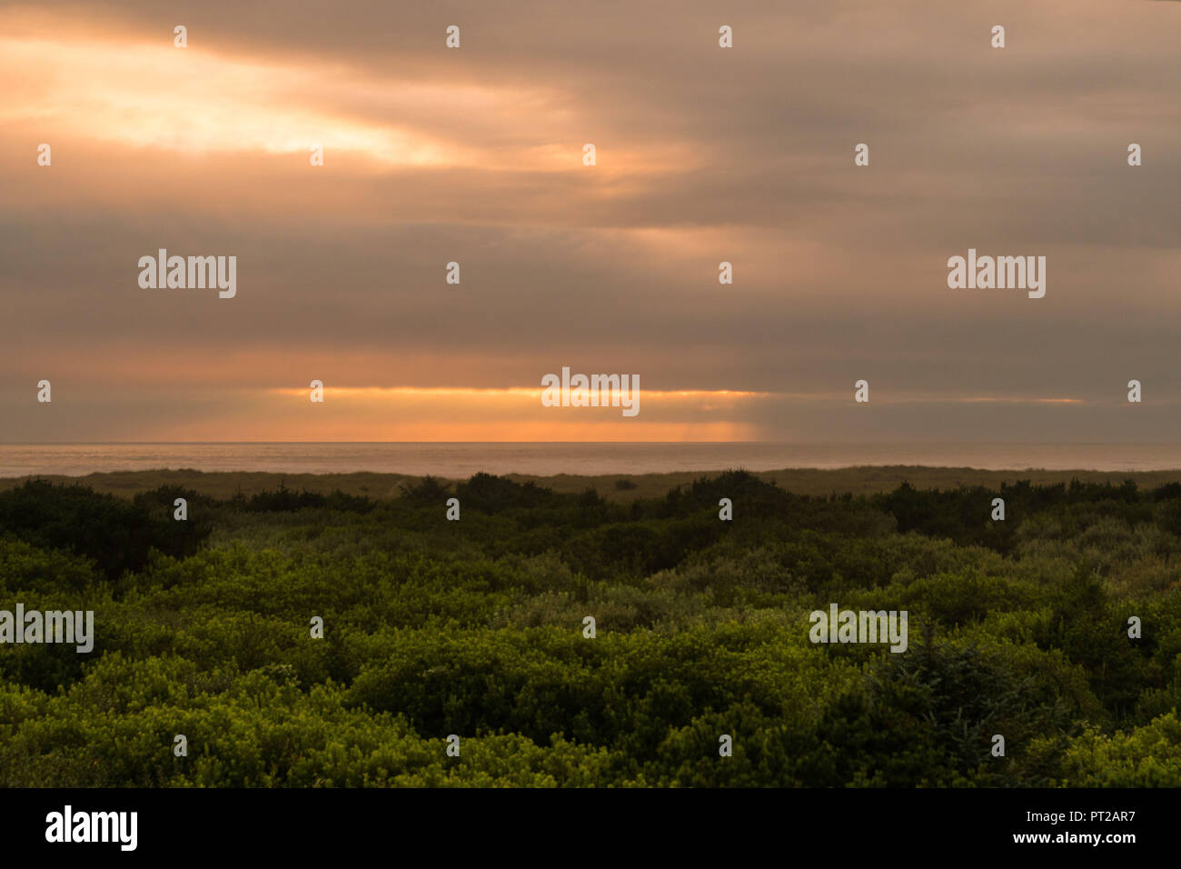 Ocean shores hi-res stock photography and images - Alamy
